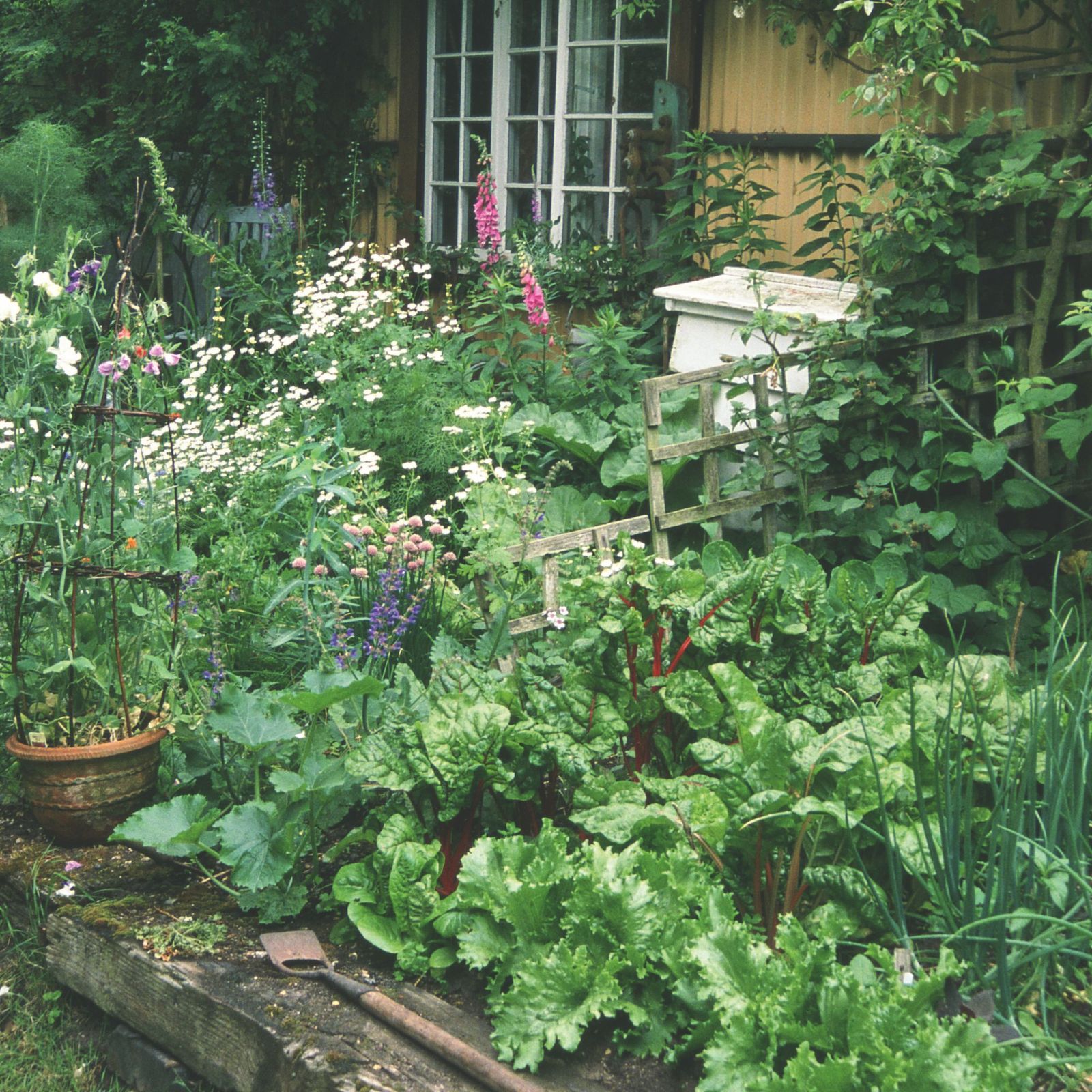 Garden trends 2025 — 11 ideas, styles and planting techniques | Ideal Home