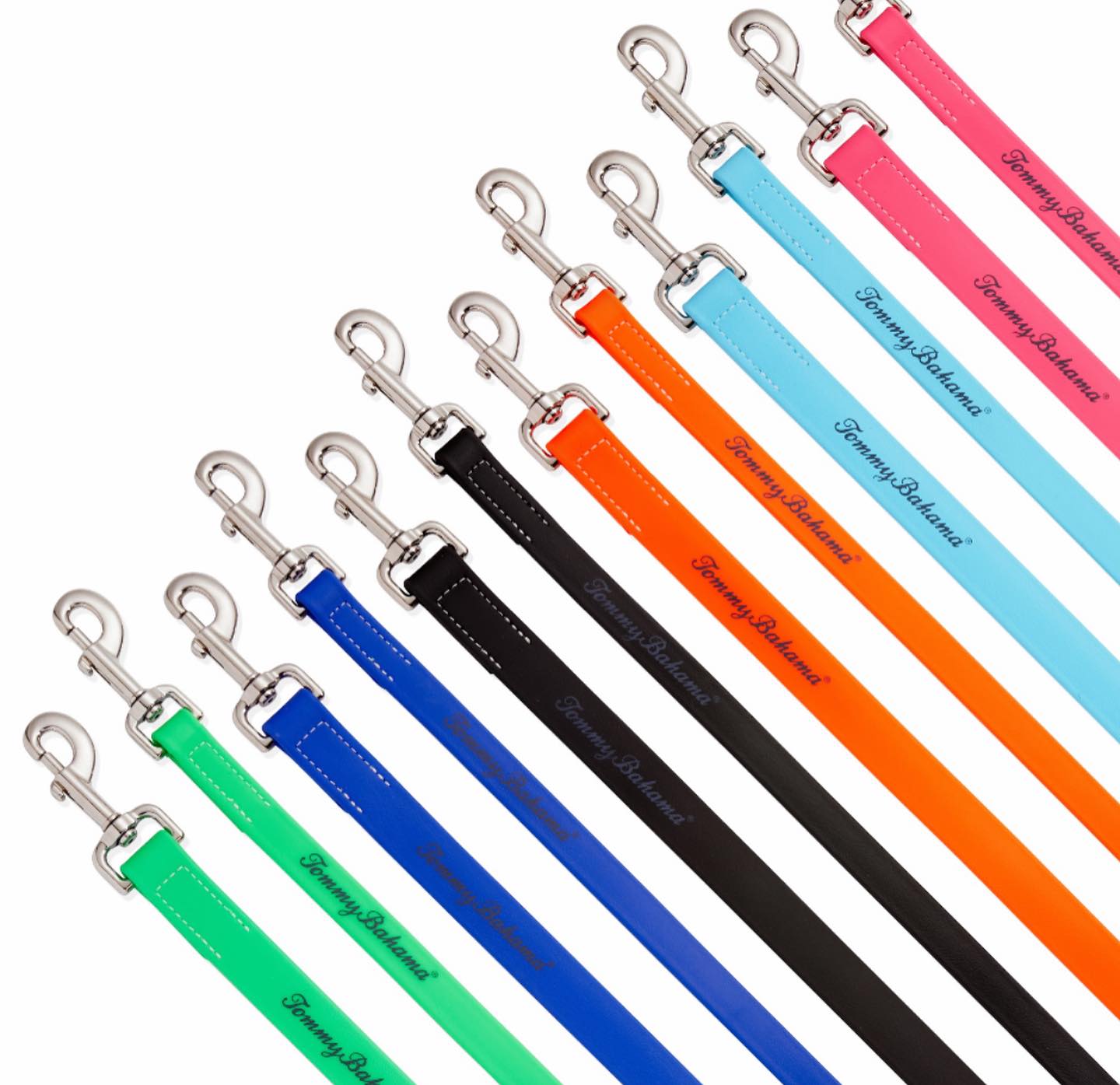 Best dog leashes: Keep your pooch safe and under control | PetsRadar