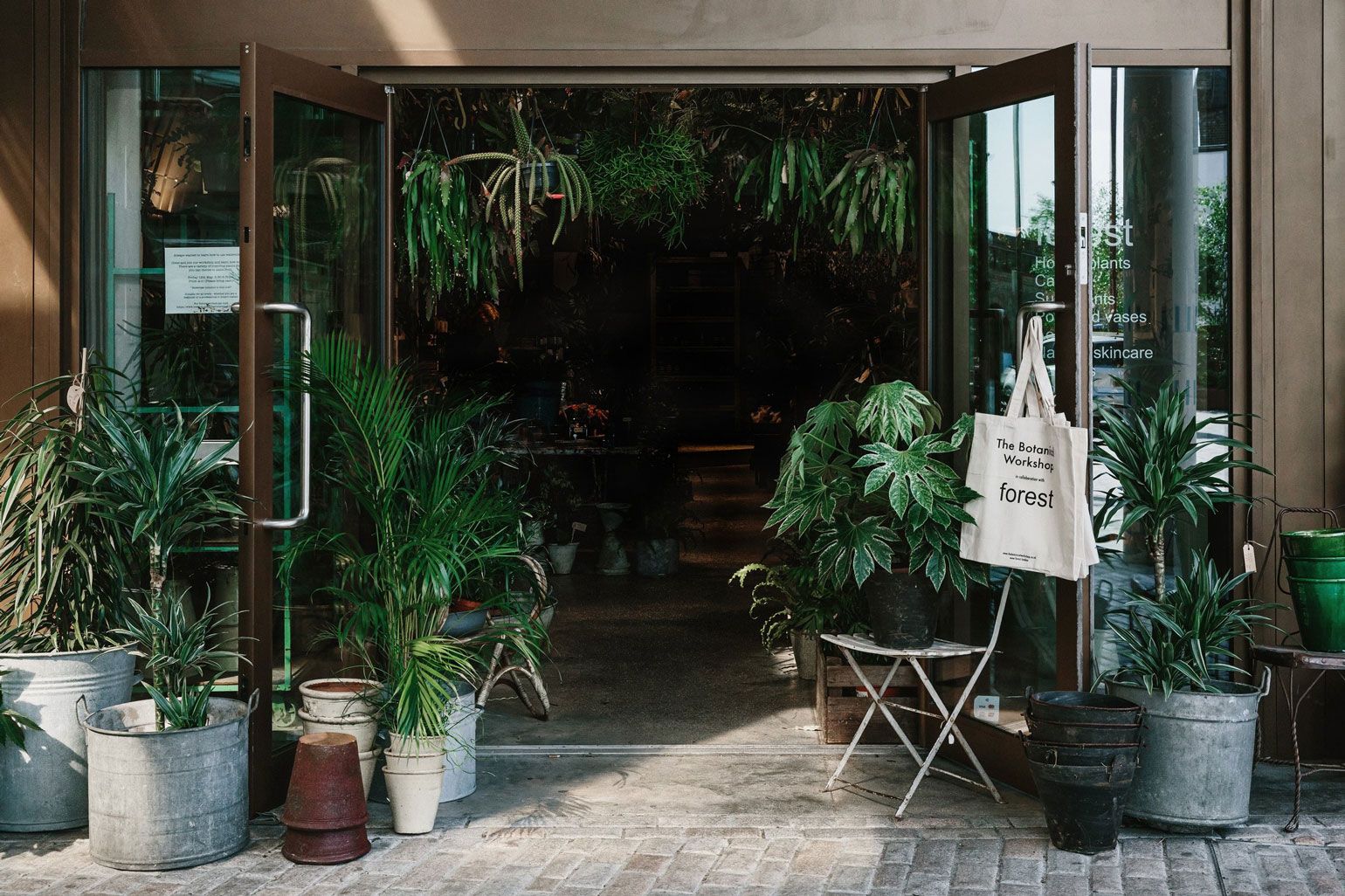 Forest London brings rare and exotic plants to the city | Wallpaper