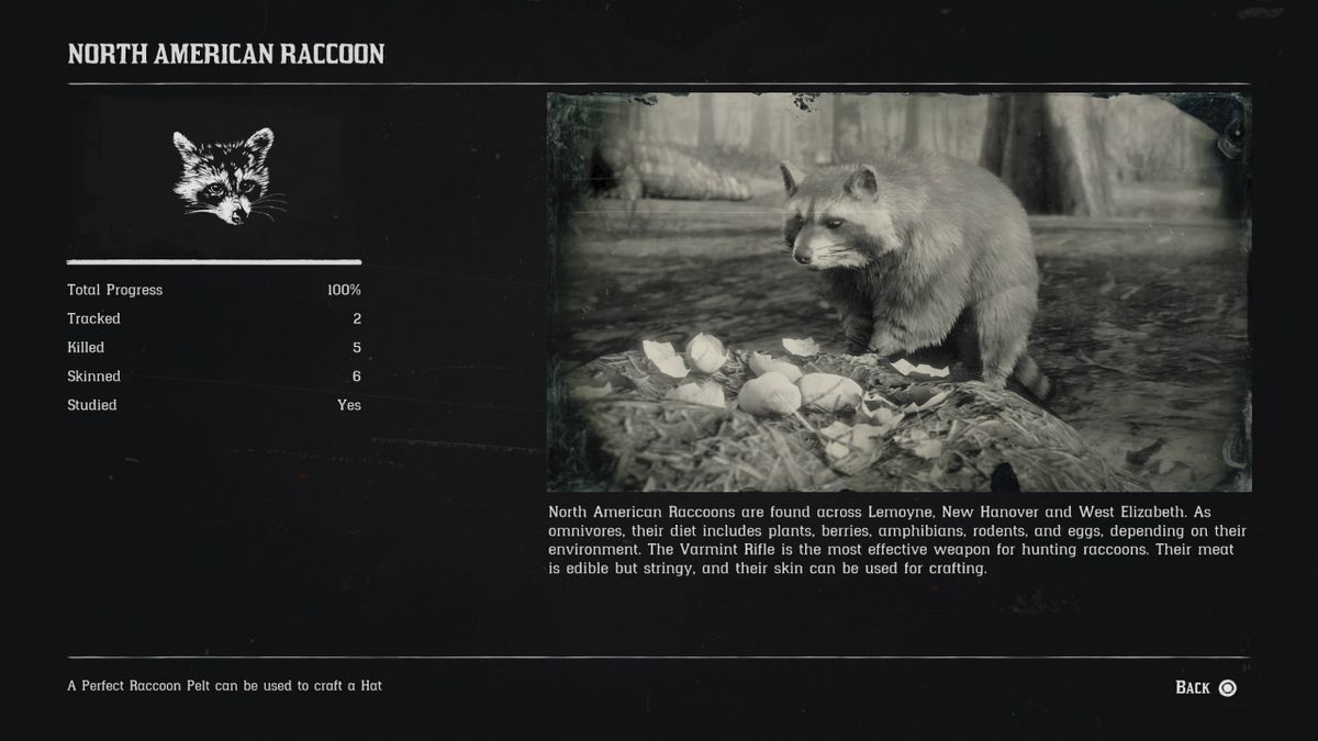 8 essential Red Dead Redemption 2 hunting tips to get the best pelts ...