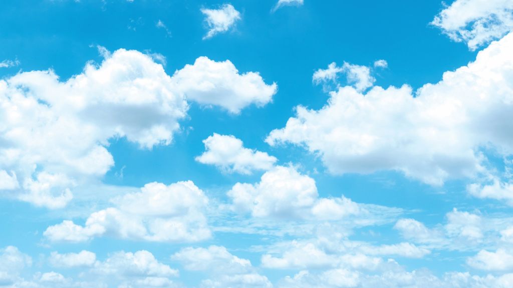 Project to 'free social media from billionaire control' plans to take ...