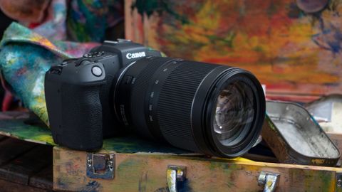 The best Canon telephoto lenses in 2024 | Digital Camera World