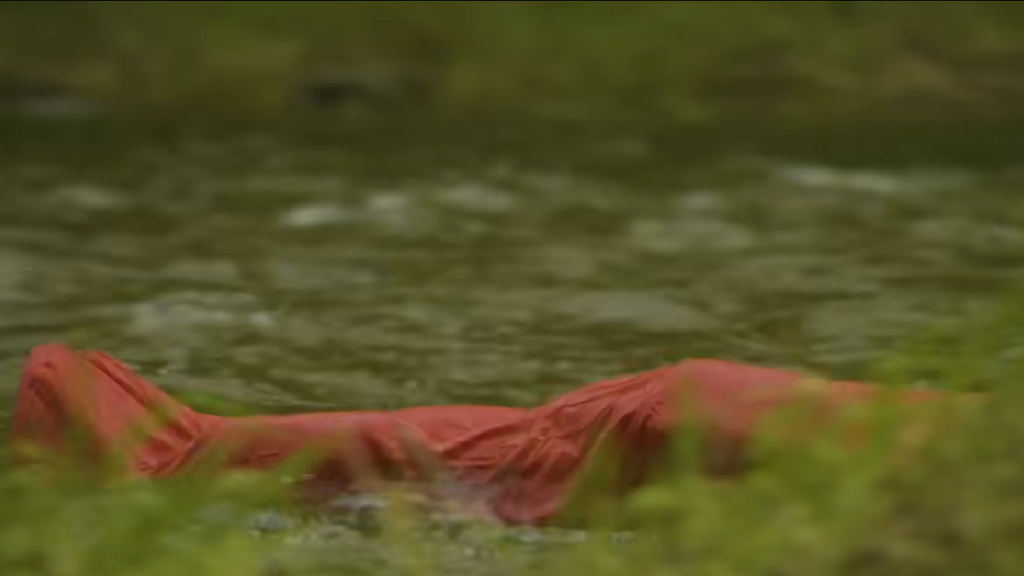 Suburban Screams: Premiere Date, Trailer And Other Details About John ...