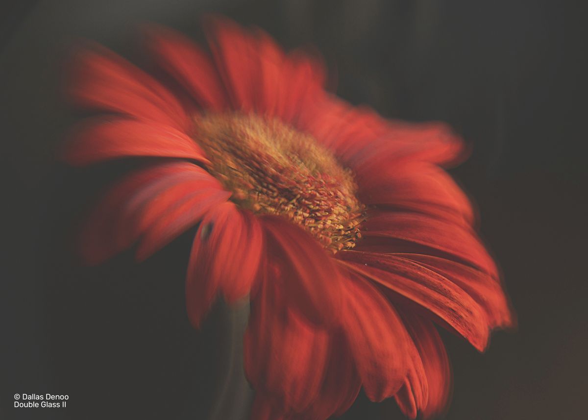 Got Glass? Lensbaby launches new Double Glass II Optic | Digital Camera ...