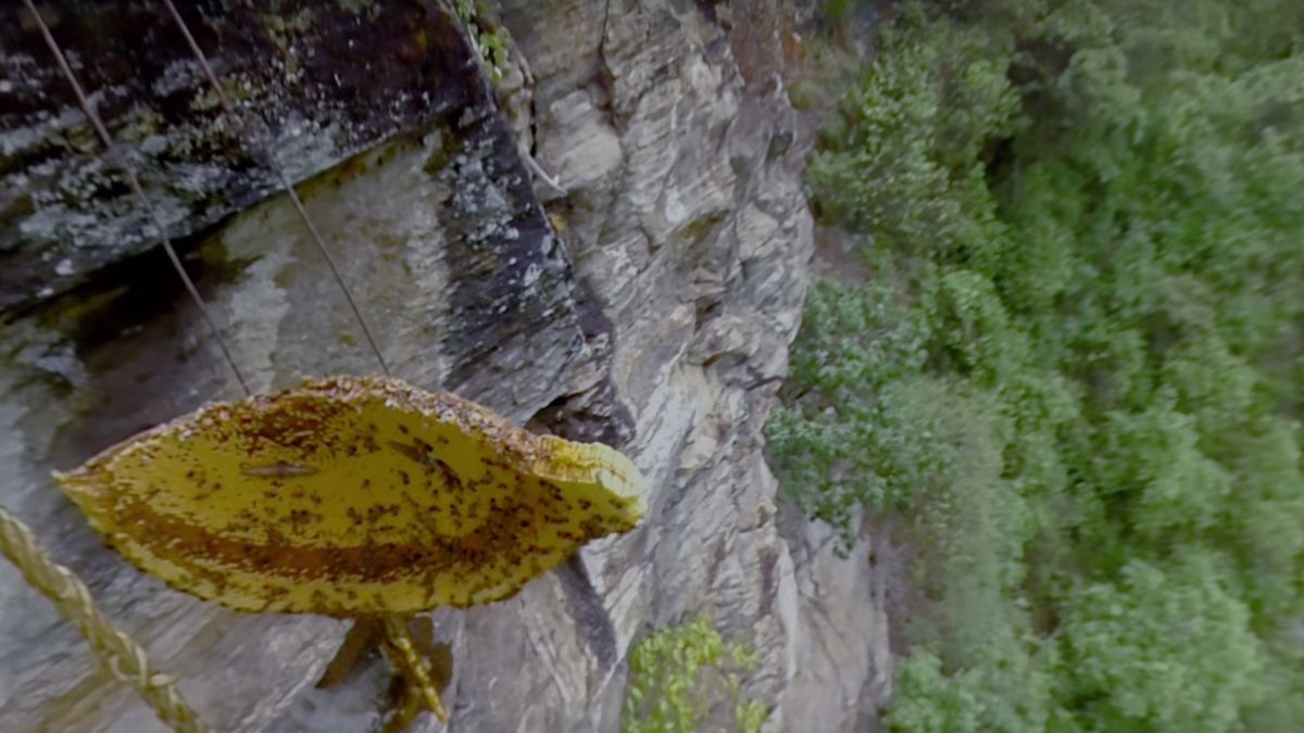 Around the world in 80 VR experiences | TechRadar