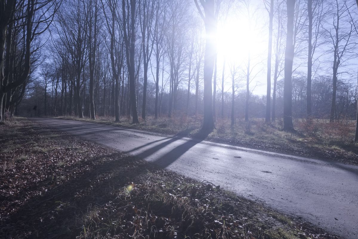 Optical illusion! Bring your toys to life with forced perspective ...