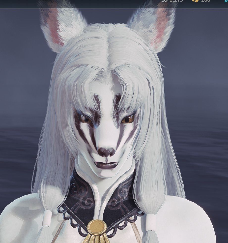 Best Naraka: Bladepoint character creations | PC Gamer