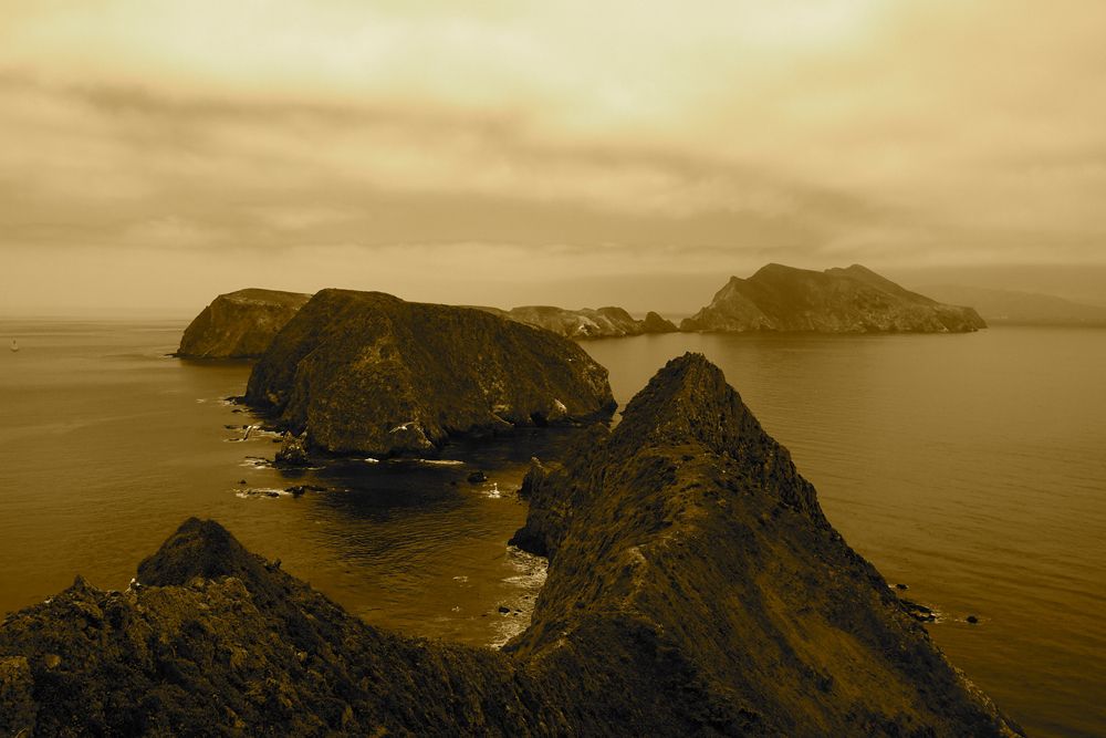 Channel Islands: Photos of North America's Galapagos | Live Science