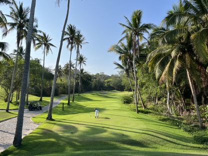 Golf In The Jungle Featuring The World's Best Holes You Didn’t Know ...