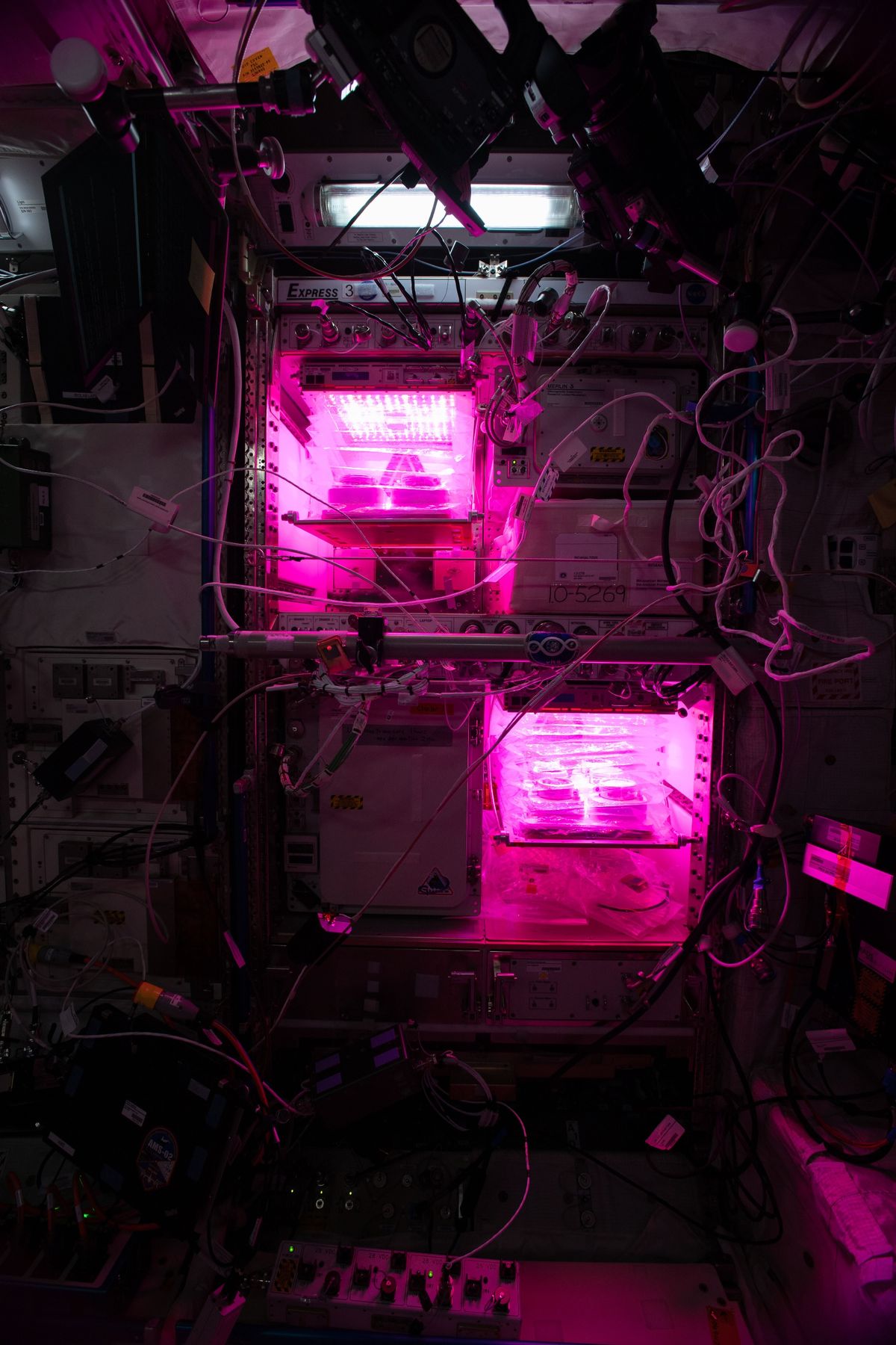 This NASA Experiment Shows Promise for Farm-Fresh Foods in Space | Space