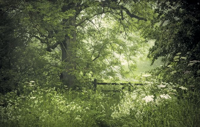 Why do we all want to live in the countryside? | Country Life