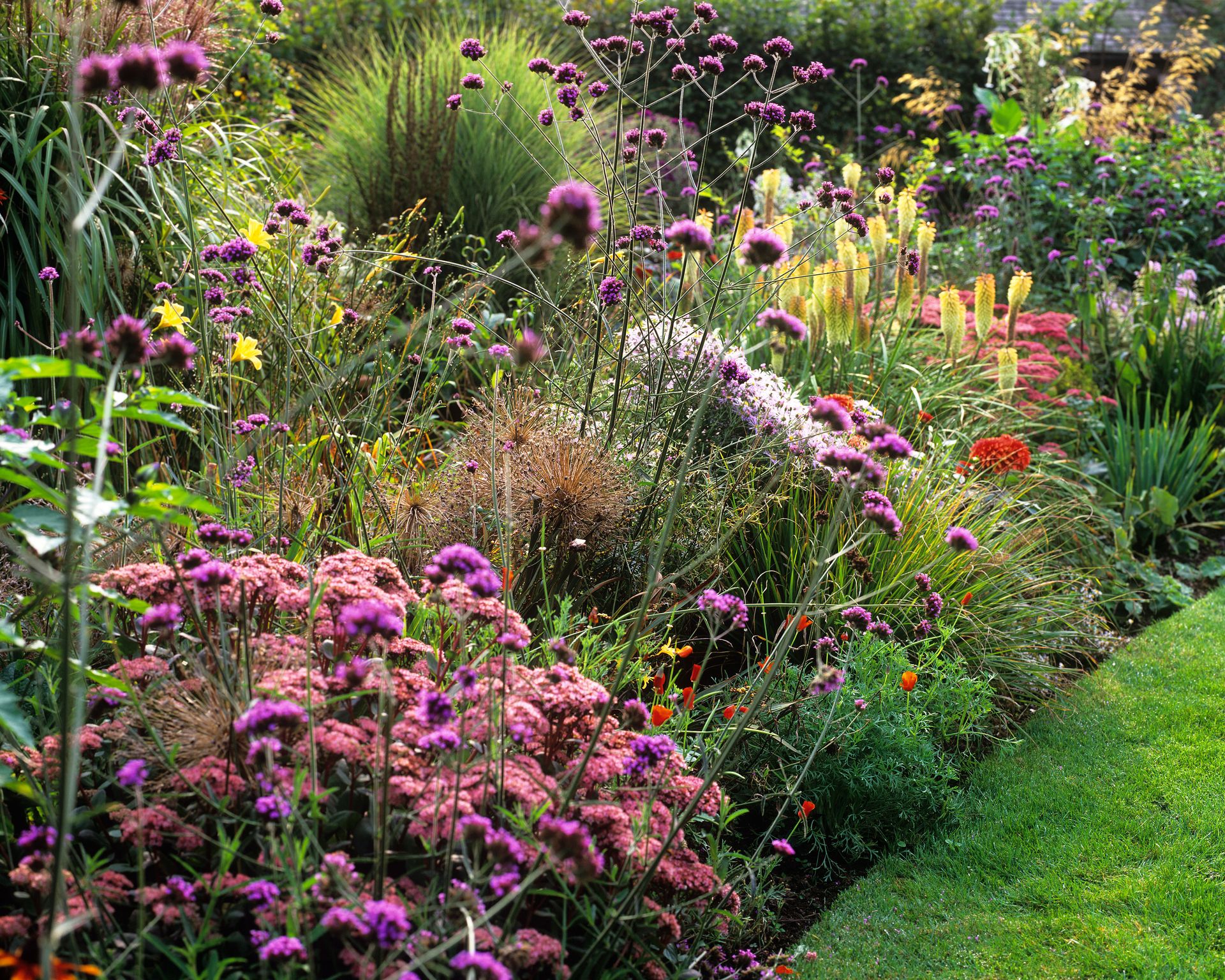 Late summer flowers: 16 best blooms for color into fall | Homes and Gardens