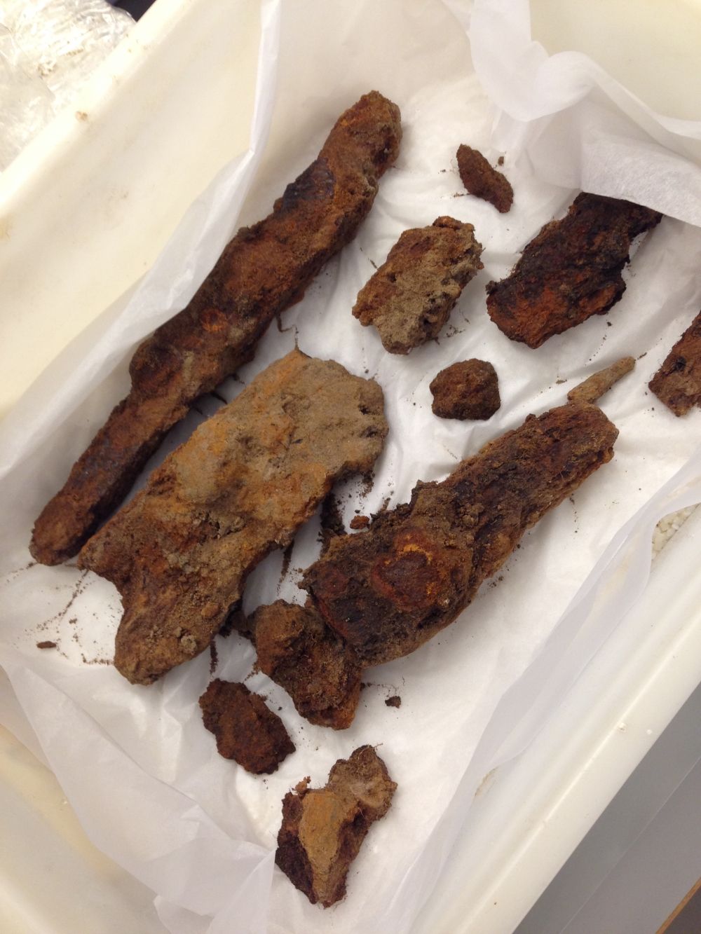 Photos: Viking-Age Tools Uncovered at Ring-Shaped Fortress in Denmark ...