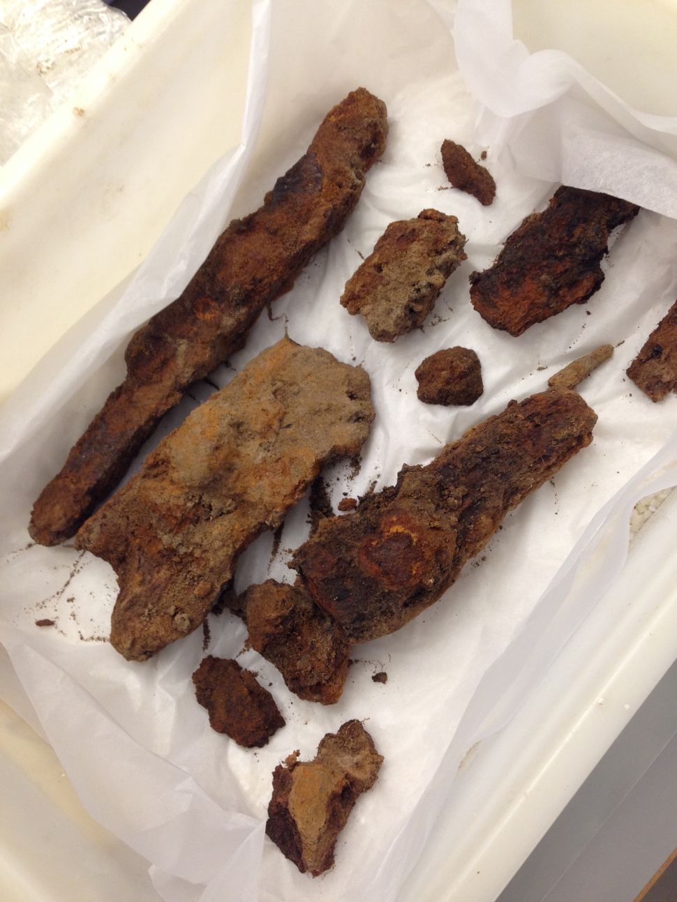 Photos: Viking-Age Tools Uncovered at Ring-Shaped Fortress in Denmark ...