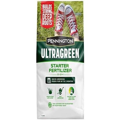 How and when to fertilize a new lawn successfully | Homes and Gardens