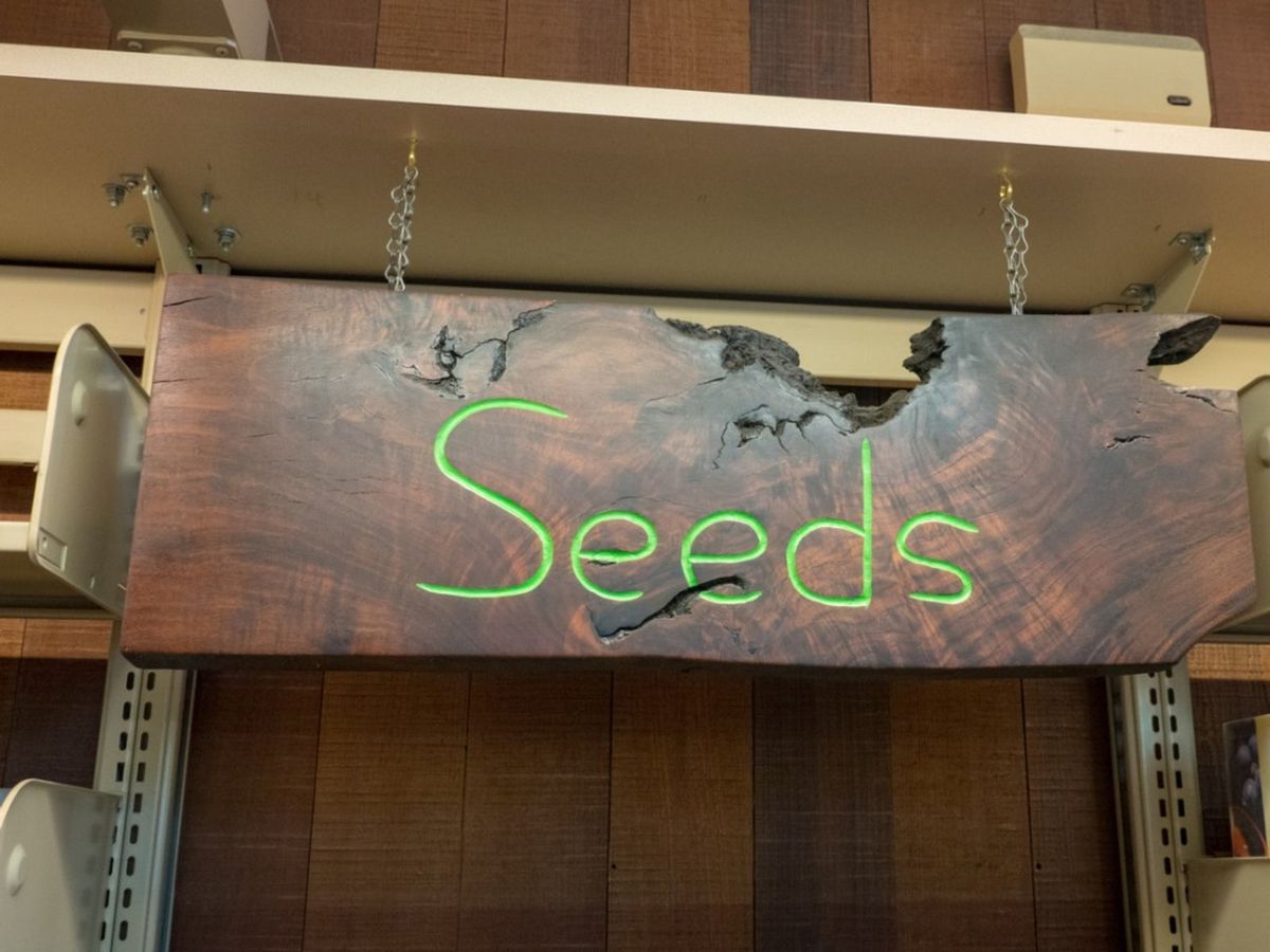 Creating Seed Libraries - How Does A Seed Library Work | Gardening Know How