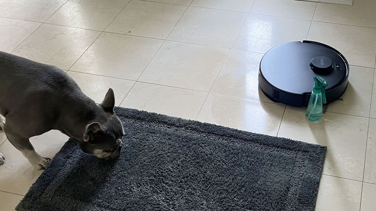 Yeedi C12 Pro Plus robot vacuum review | TechRadar