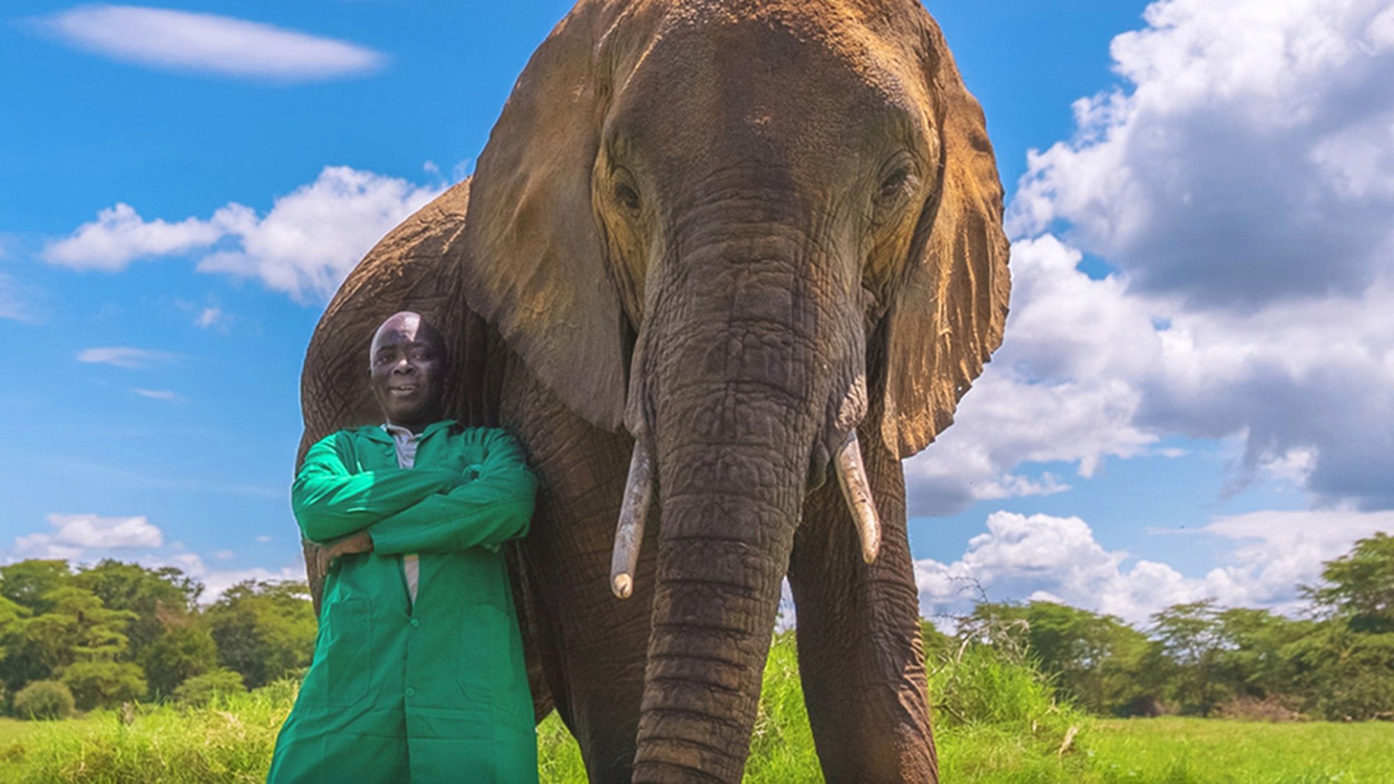 My Best Friend’s an Animal is the feel-good watch we need | What to Watch