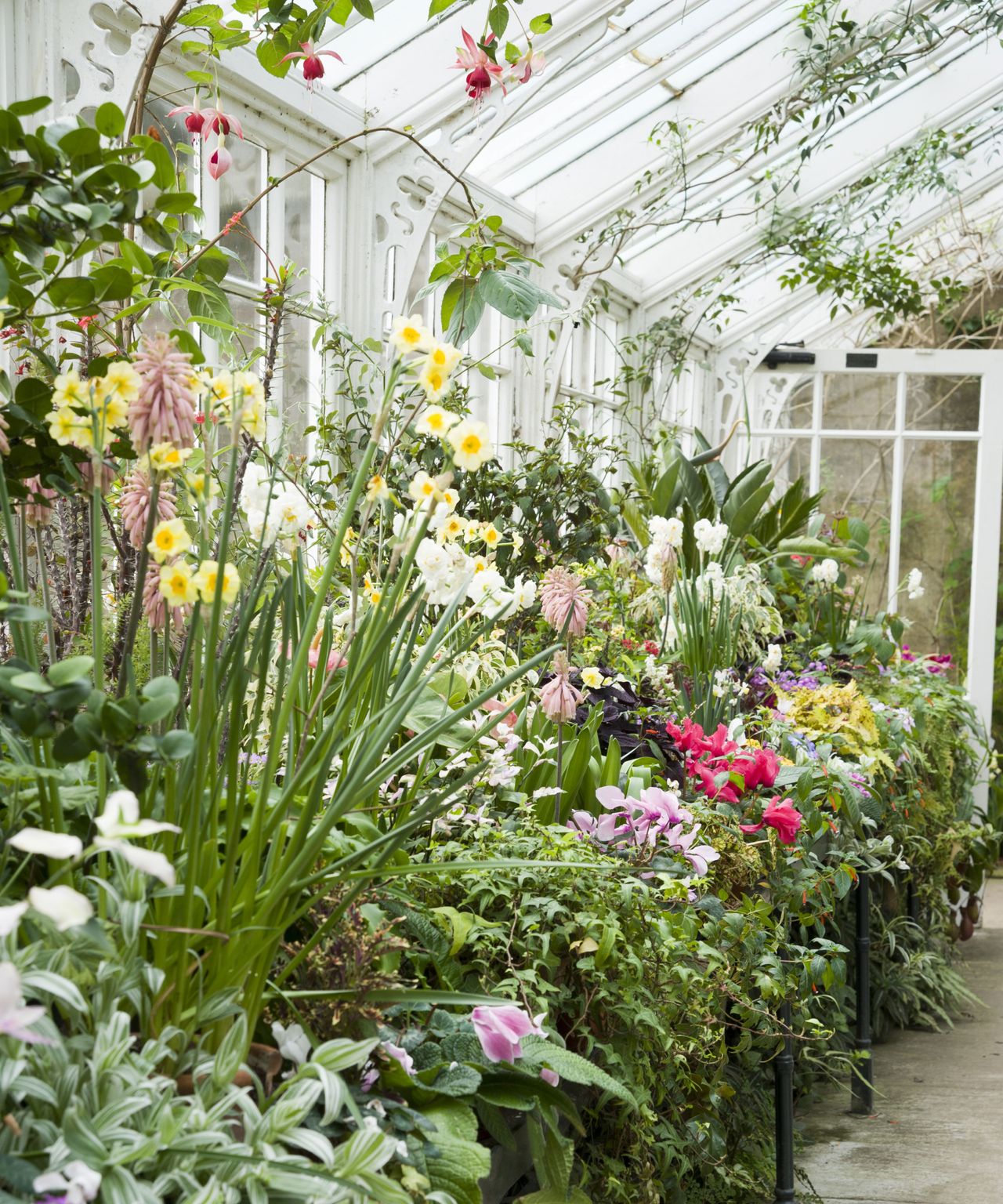 Victorian garden design: 5 key elements for your backyard | Homes and ...