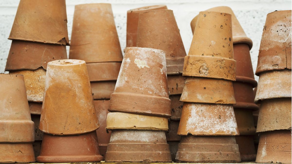 What to do with flower pots at the end of summer: 5 tasks | Homes and ...