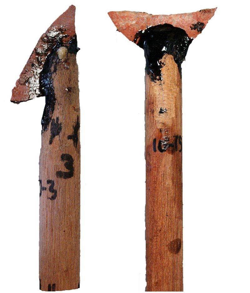 Image Gallery: Early Humans Wield Tools | Live Science