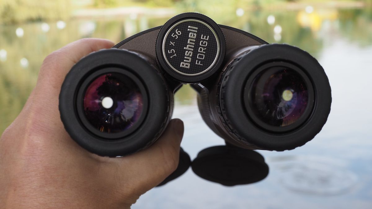 Bushnell Forge 15x56 binoculars review | Live Science