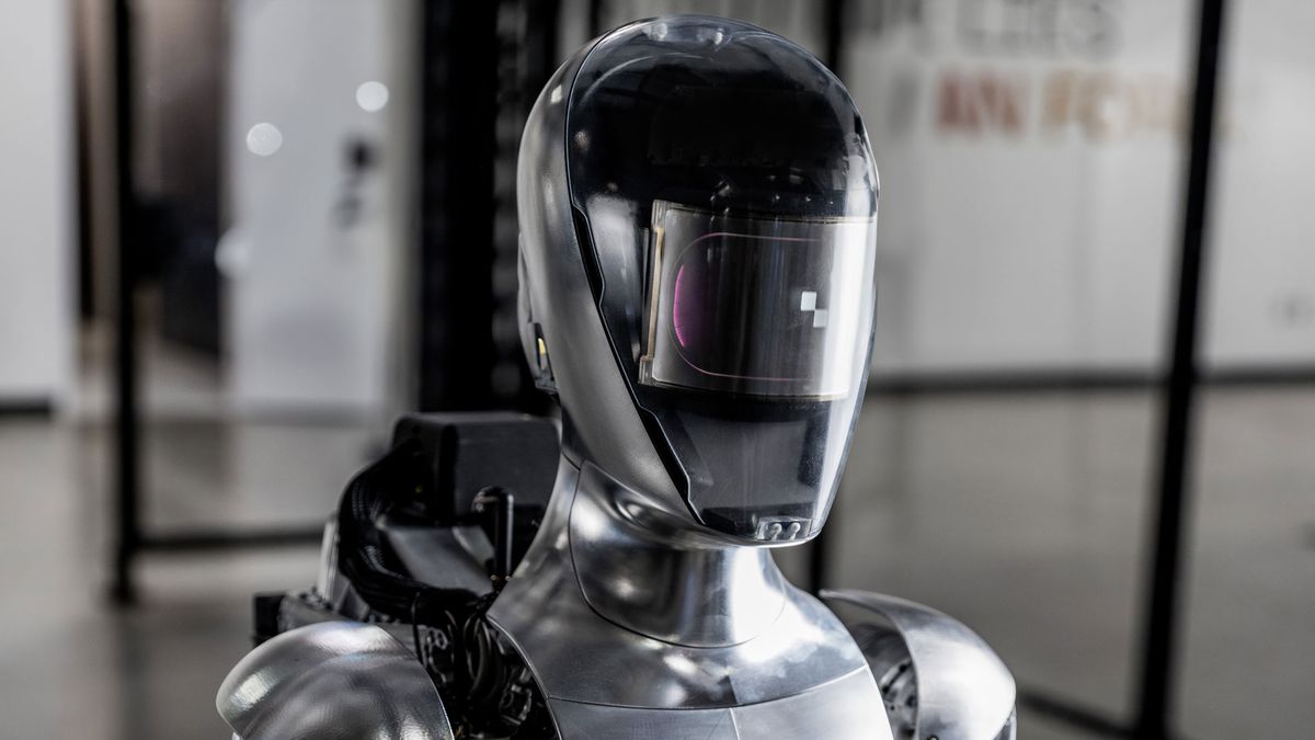 'We face high risk and extremely low chances of success' notes humanoid ...