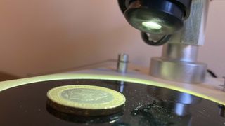 10 weird and wonderful things to look at under a microscope | Live Science