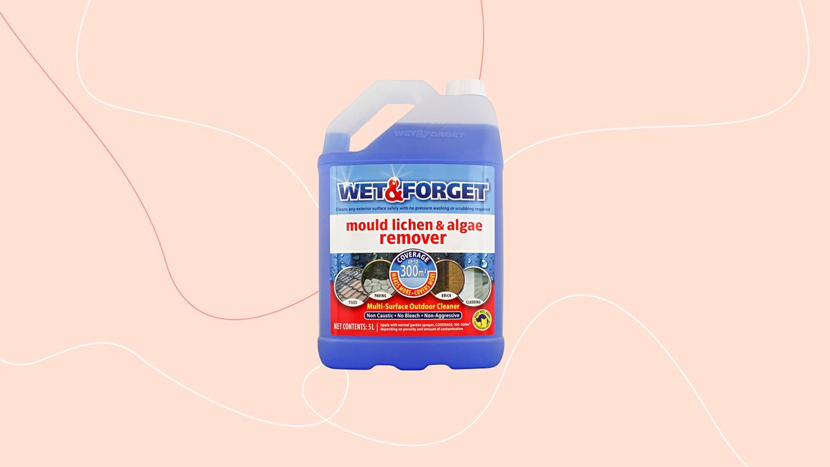 I gave Wet & Forget Mould, Lichen and Algae remover a five star review ...