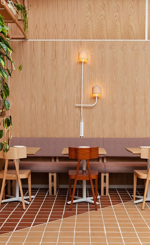 Savio Volpe | Wallpaper