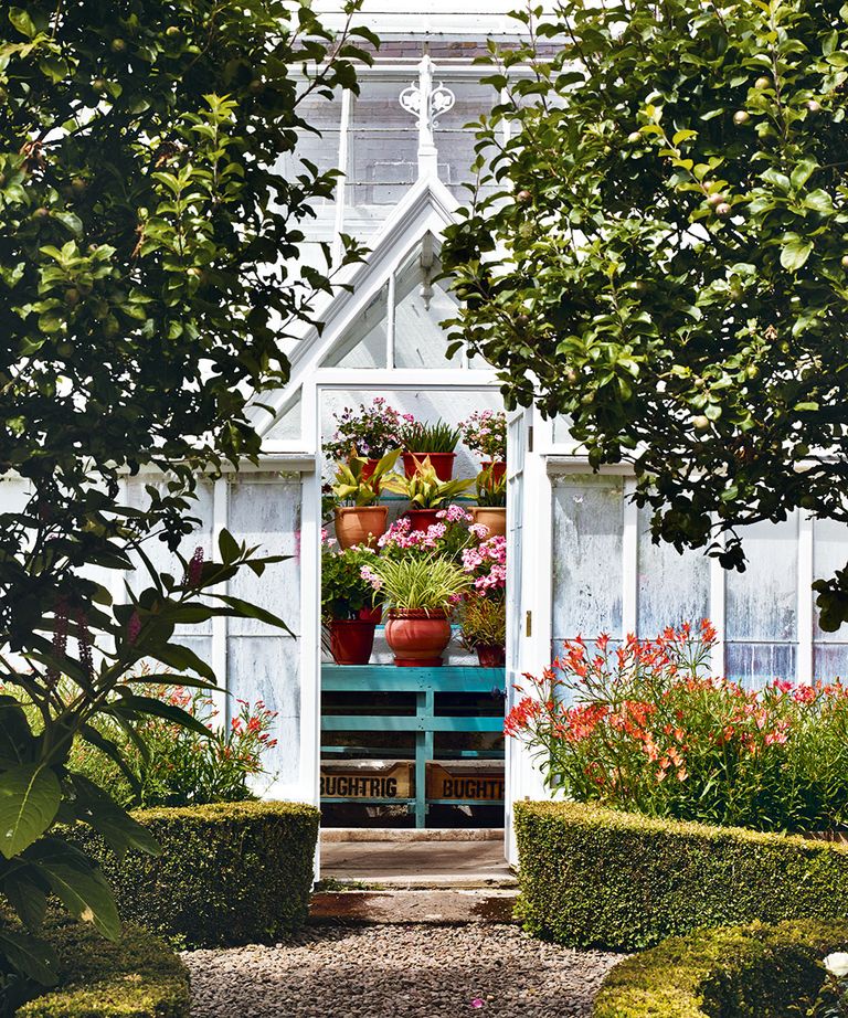 How to create an Instagram garden –Instagram garden ideas | Homes and ...