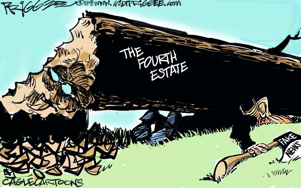 Political cartoon U.S. fourth estate enemy of the people Trump free ...