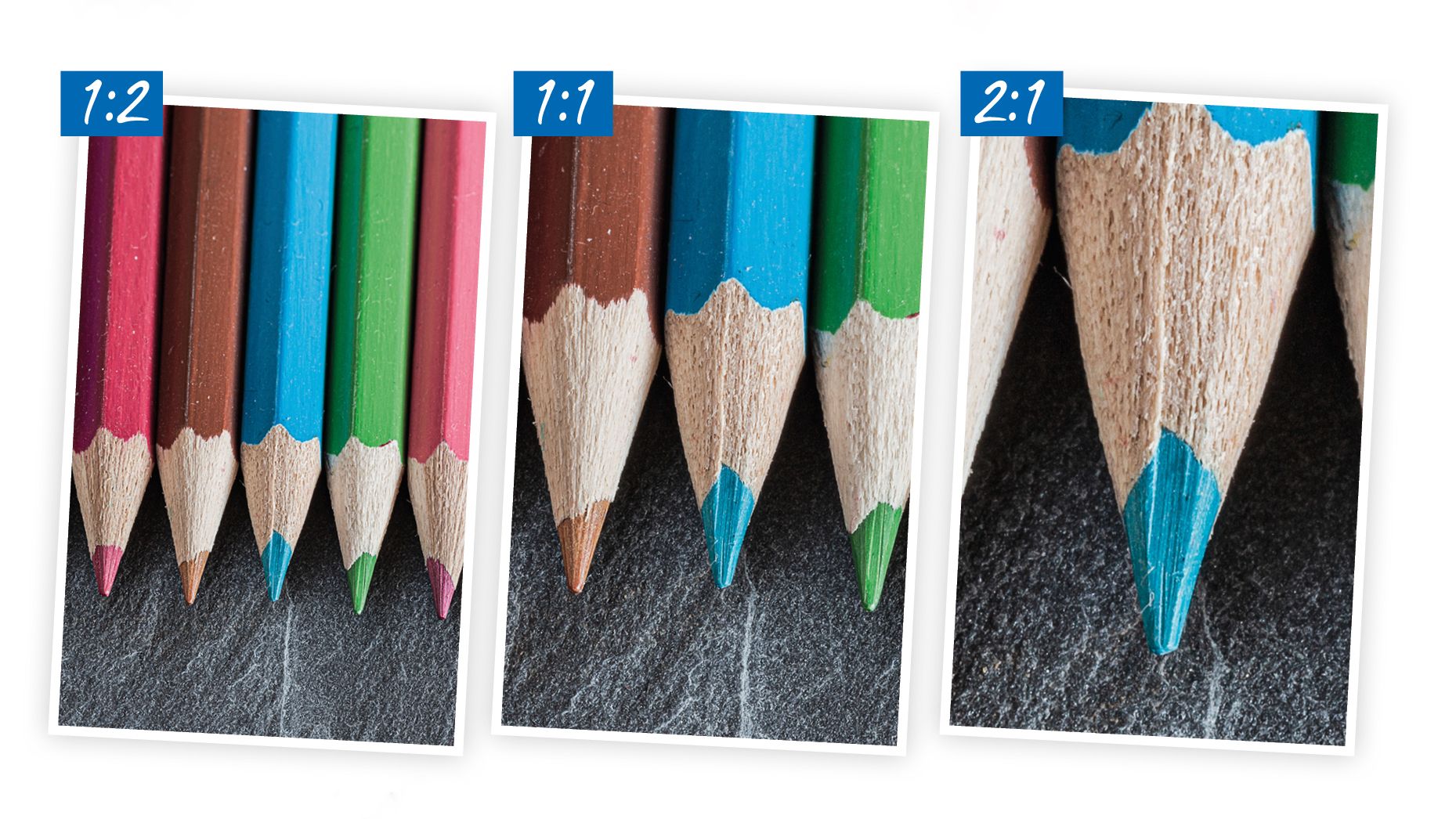 Canon School: Master macro photography with your Canon camera | Digital ...