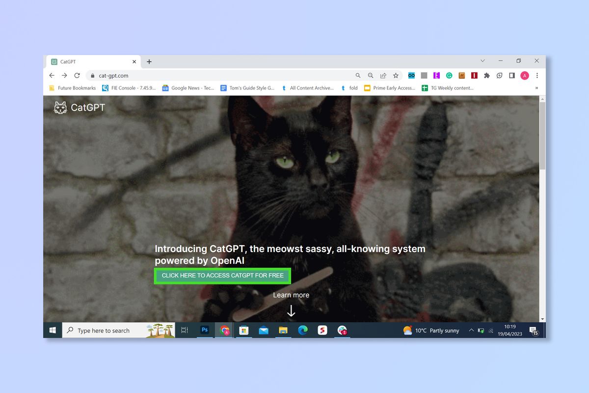 CatGPT is the best use of AI yet | Tom's Guide