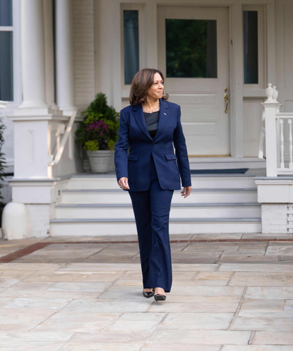 Inside Kamala Harris's subtly patriotic living room color scheme ...