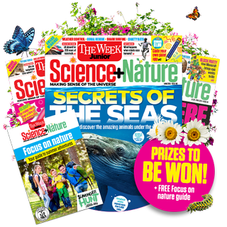 About | The Week Junior Science+Nature