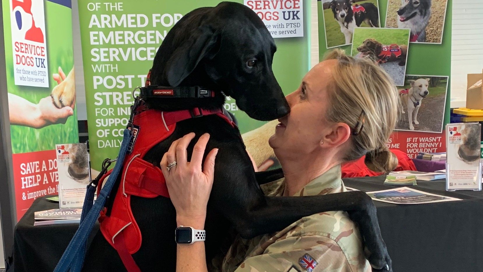 Meet the rescue dogs helping military veterans with PTSD – and how YOU ...