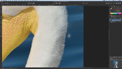 Clean up backgrounds in Affinity Photo: how to remove unwanted objects ...