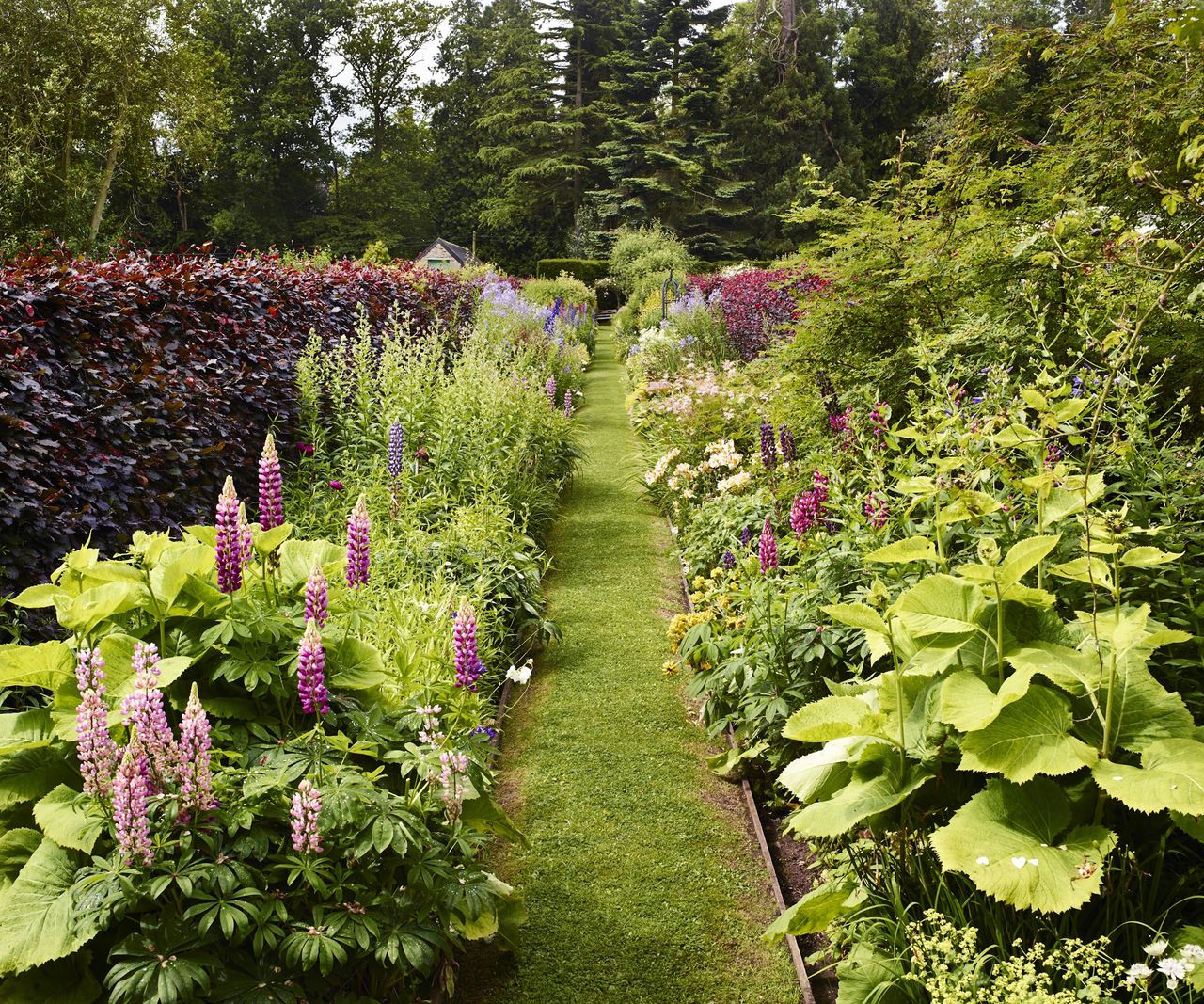 7 best plants to start a garden from scratch: expert advice | Homes and ...