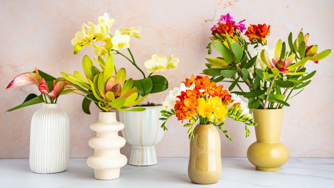 7 Underrated Romantic Plants to Gift for Valentine’s Day | Gardening ...