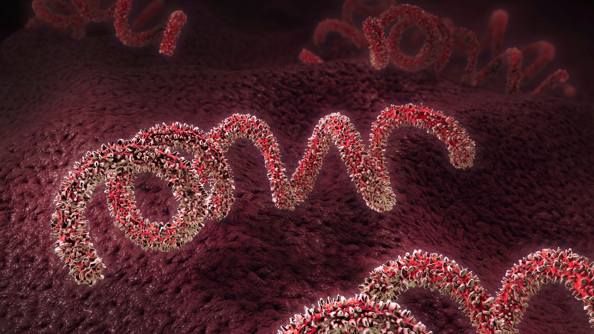 As syphilis levels hit 70-year high, sexually transmitted infection ...