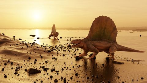 Pangaea: Discover facts about Earth's ancient supercontinent | Live Science