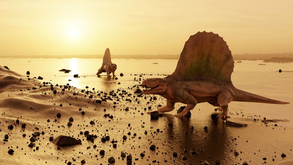 Pangaea: Discover facts about Earth's ancient supercontinent | Live Science