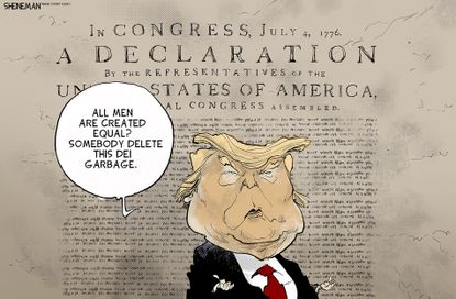 5 meritorious cartoons about the war on DEI | The Week