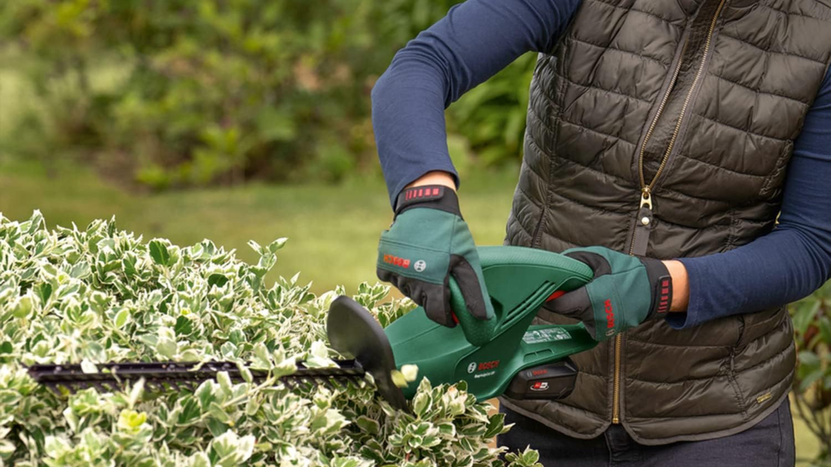 How to clean and maintain your hedge trimmer | Top Ten Reviews