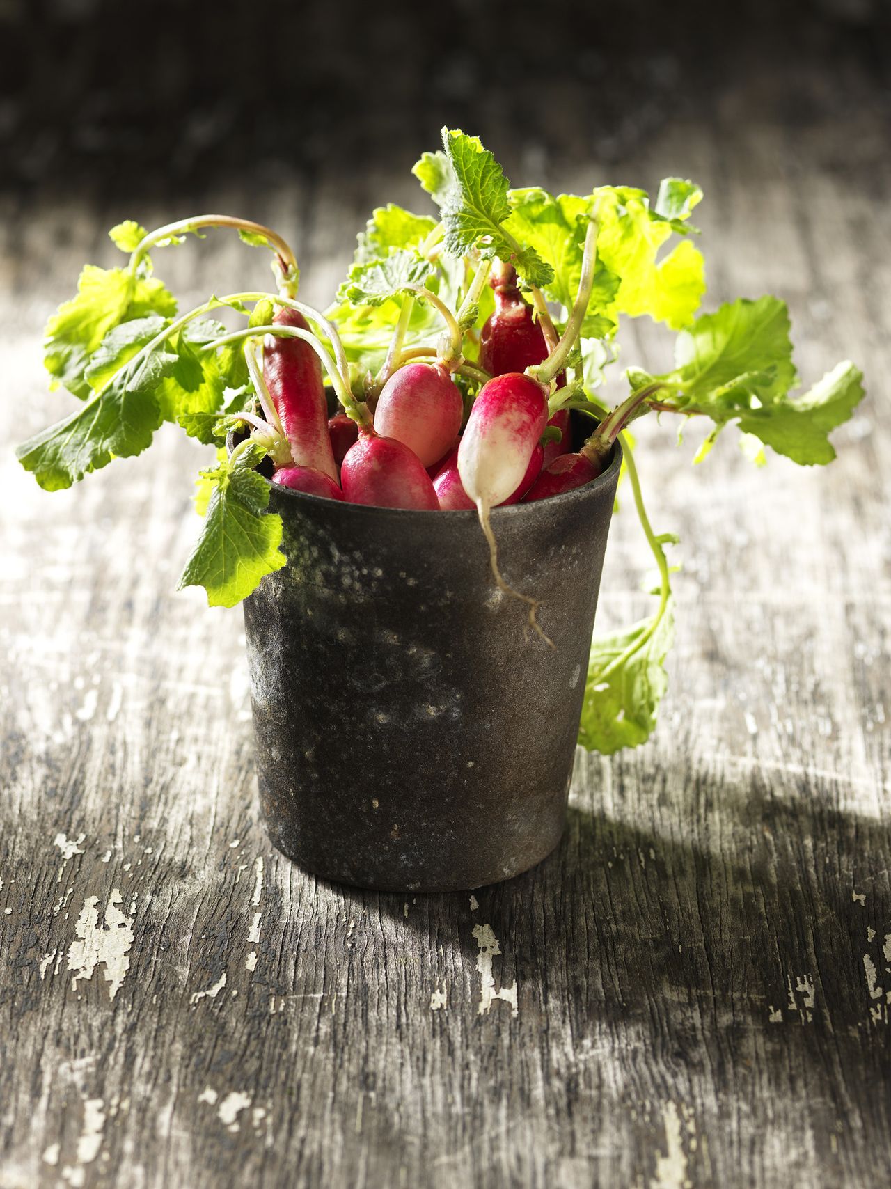 When to plant radishes: to get a tasty crop year round | Homes and Gardens