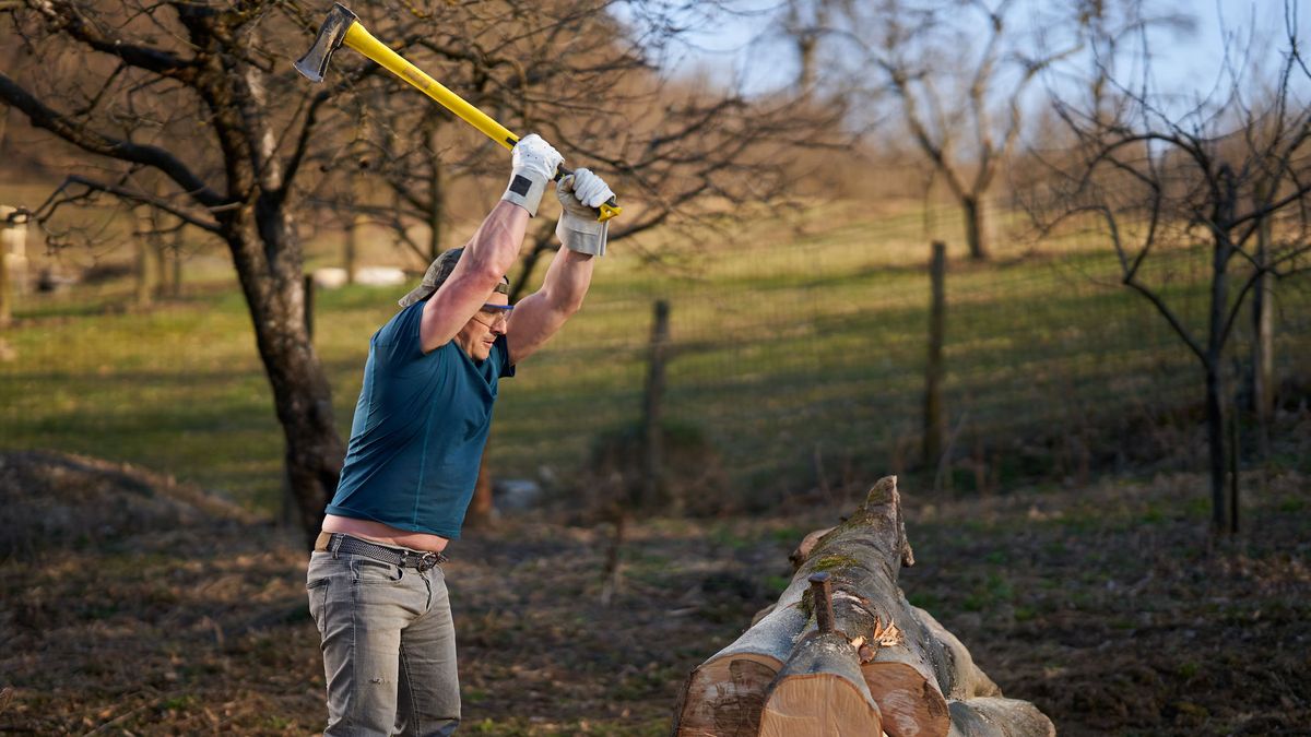 How to season wood: get your logs ready for camping trips | Advnture