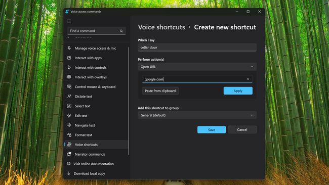 How to use Windows 11 Voice Access | Tom's Guide