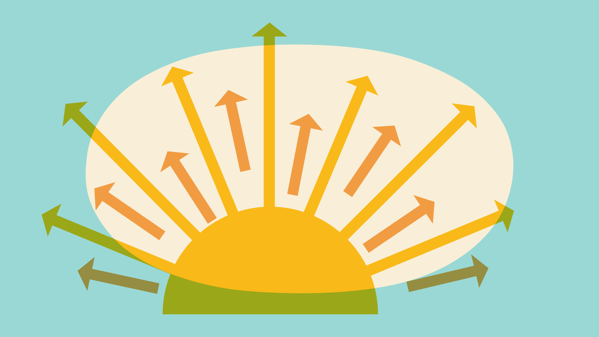 The Week US newsletters | The Week