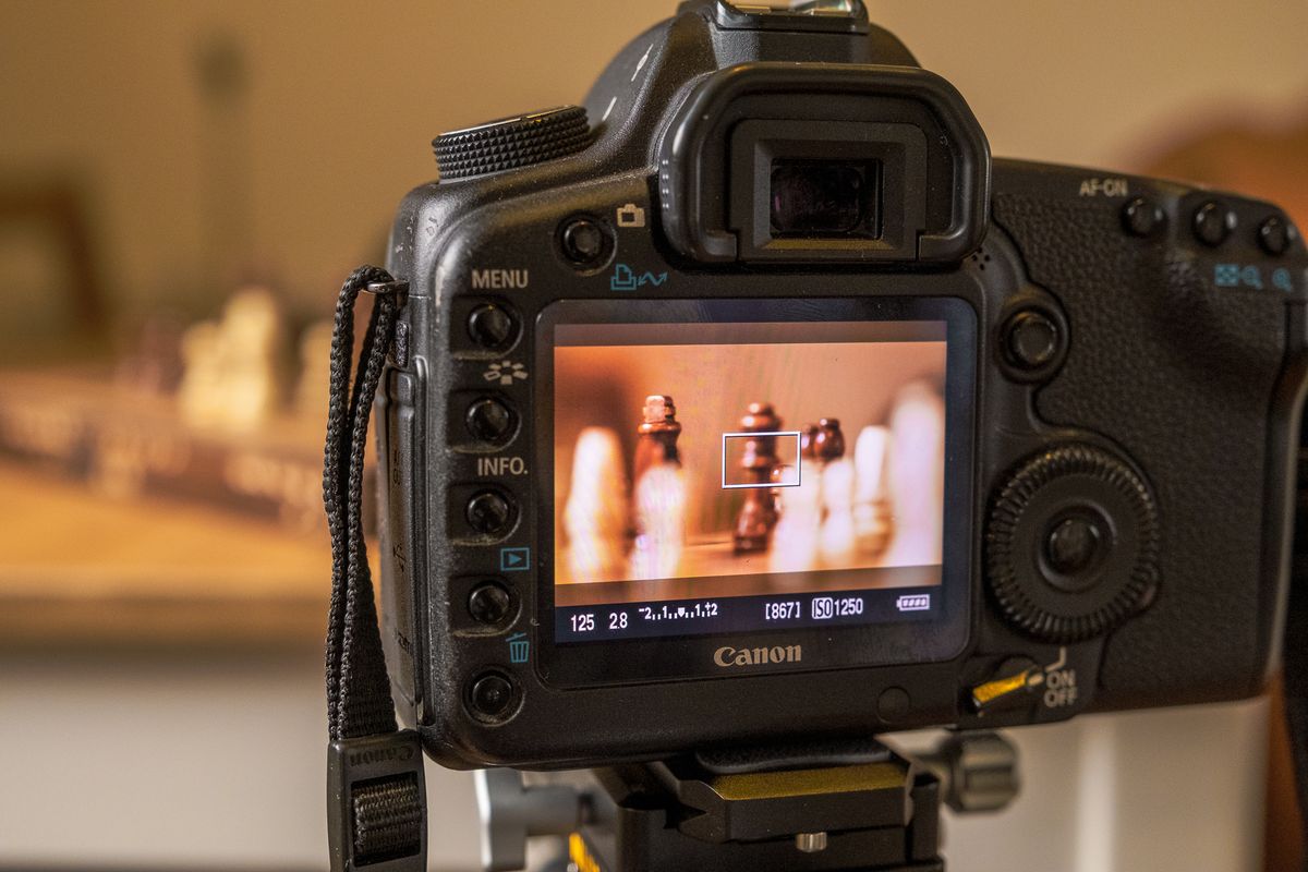 How to use a macro focusing rail for a focus-stacked close-up | Digital ...